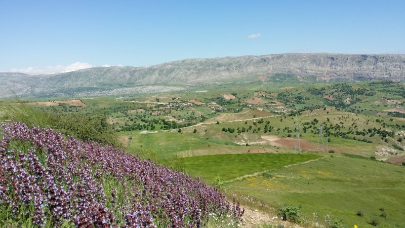 Turkey Travel - Regions of Turkey - Eastern Turkey Tours