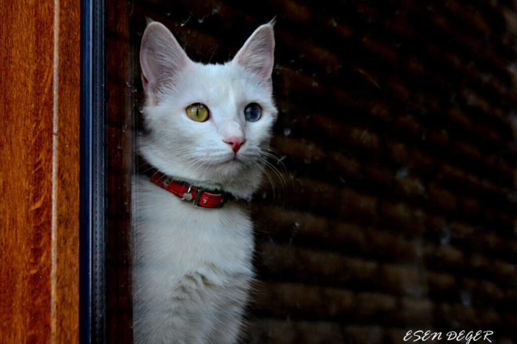 Eastern Anatolia Borderland - Eastern Turkey Tours